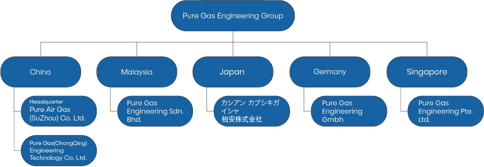 Group Structure - Pure Gas Engineering Sdn. Bhd.